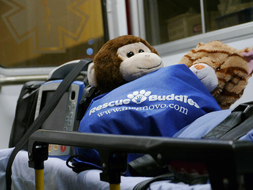 Magnovo’s Rescue Buddies and Domestic Violence Awareness - Magnovo ...